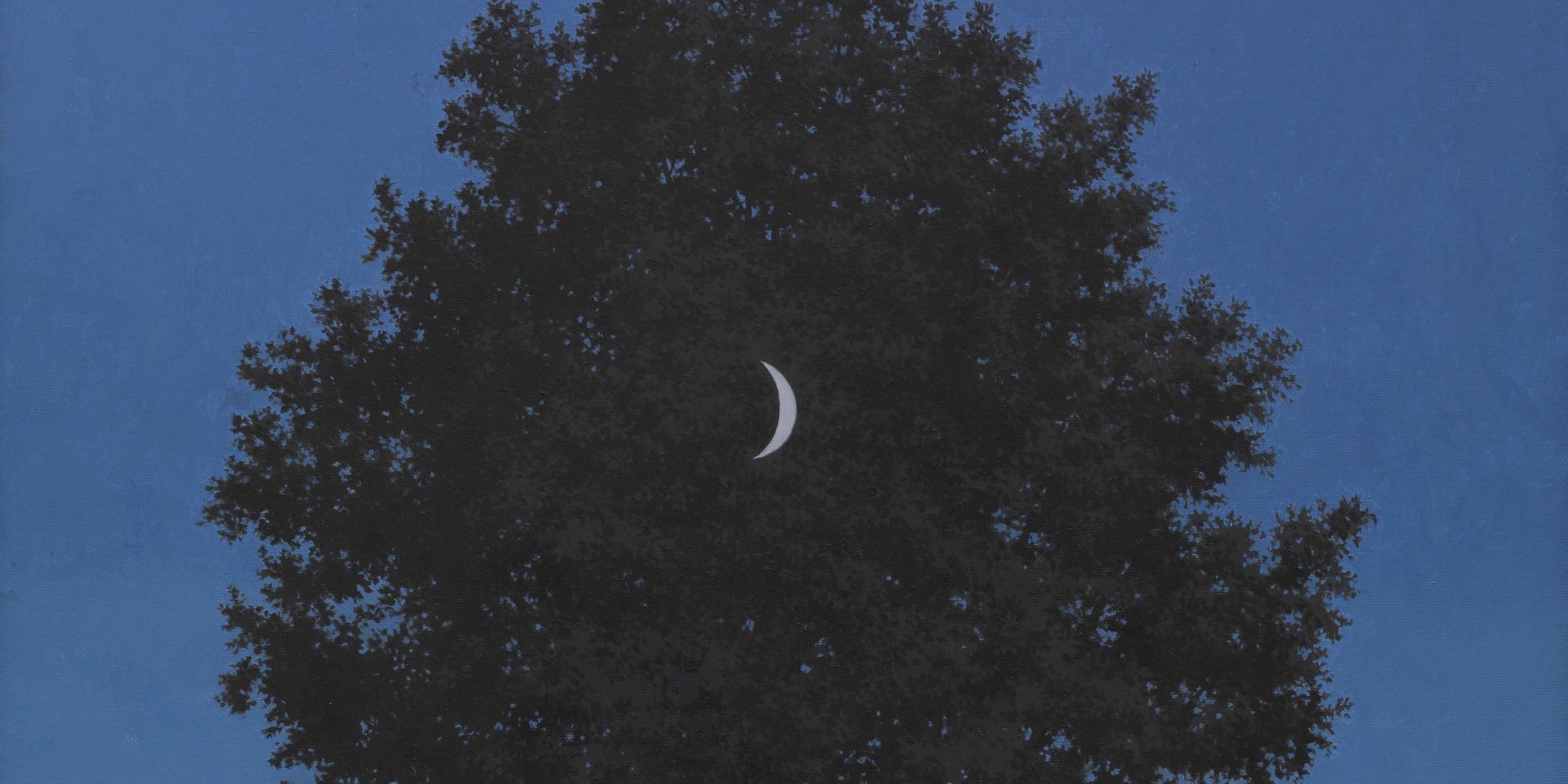 Instap­rondleiding Magritte. La ligne de vie